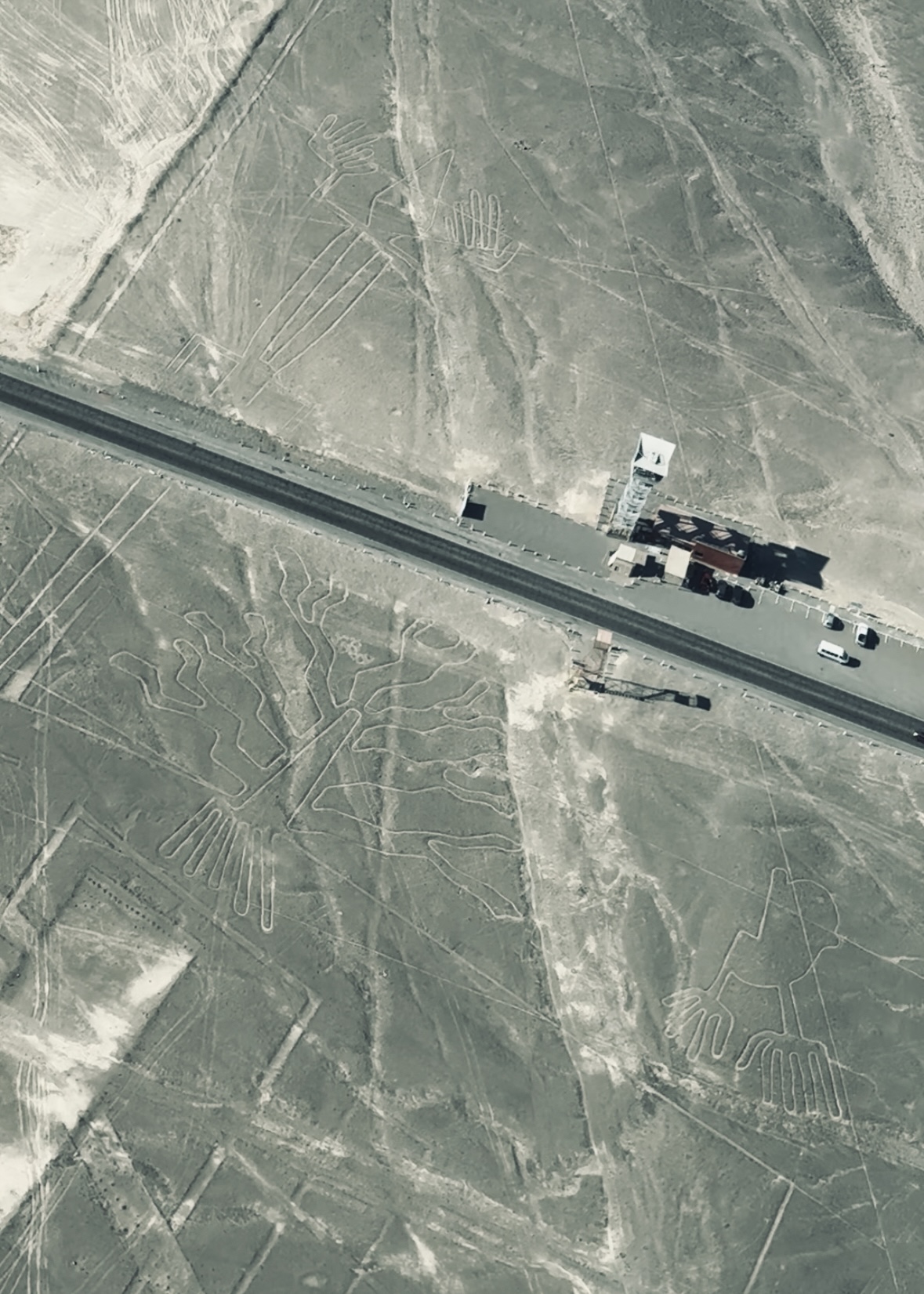 Is the Nazca Lines Flight Worth It? My Honest Experience in Peru – Jess ...